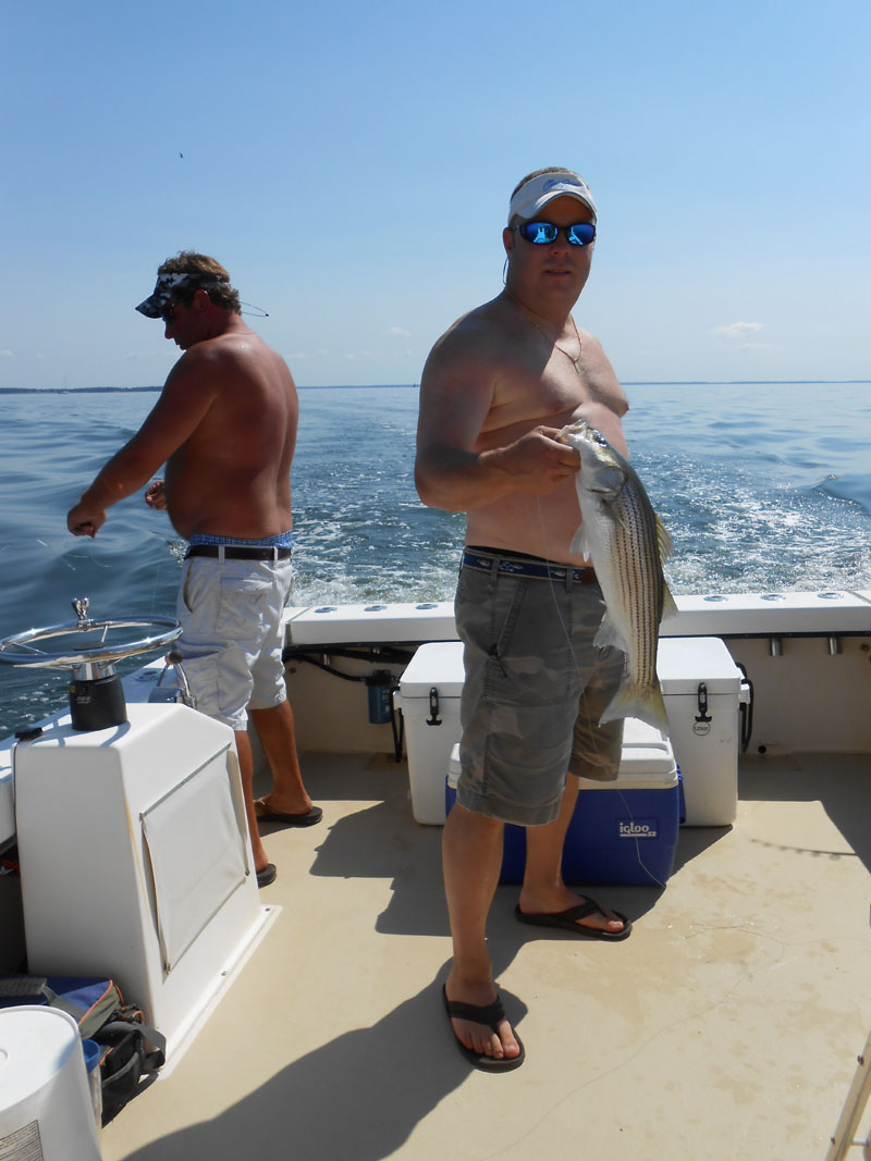 Fishing Report - 9-13 S'Macked them! Rock Hard fishing for Mack, Blues ...